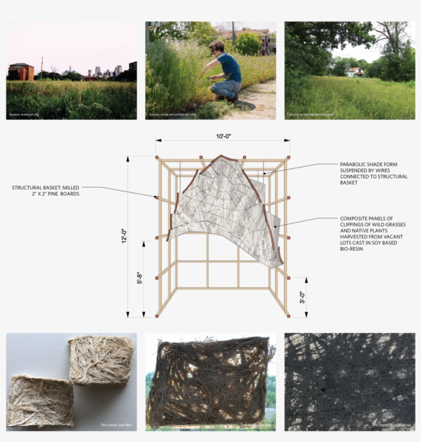 Wild Gold 3 - Free Transparent PNG Download - PNGkey