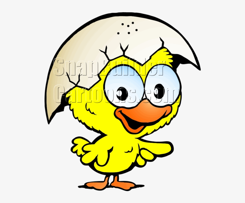 Chicken Pointing - Free Transparent PNG Download - PNGkey