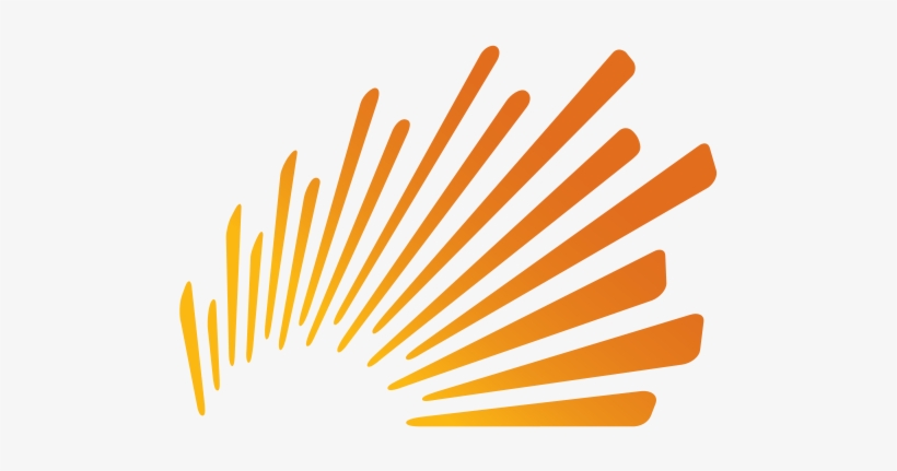 Suntrust Bank Logo Icon