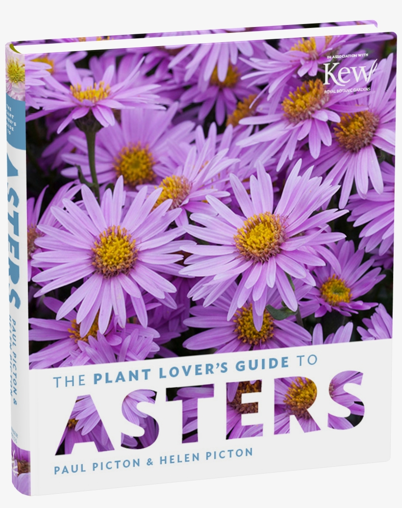 Cover - Free Transparent PNG Download - PNGkey