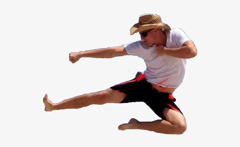 Twitter - - Flying Kick Transparent - Free Transparent PNG Download ...