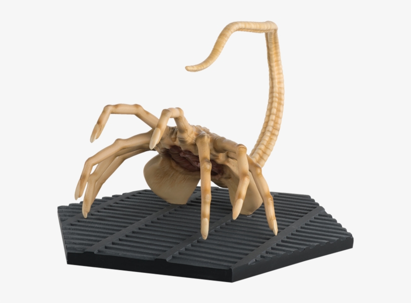 Mega Aliens Facehugger - Alien - Free Transparent PNG Download - PNGkey