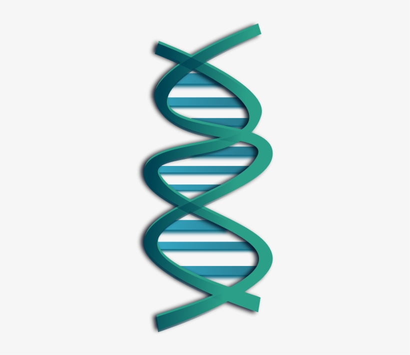 Dna Clip Art - Free Transparent PNG Download - PNGkey
