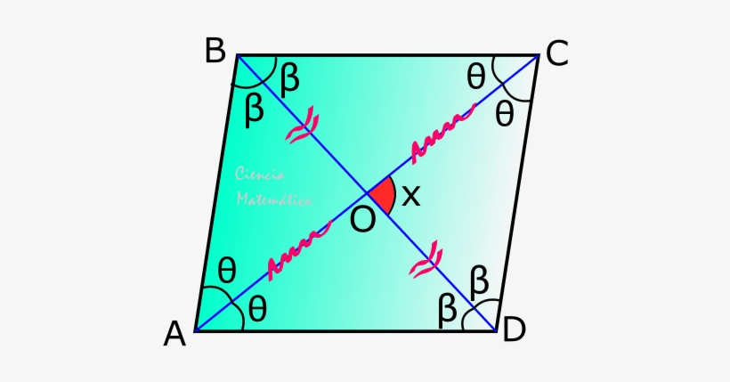 C) Diagonales Del Rombo - Propiedades Del Rombo - Free Transparent PNG ...