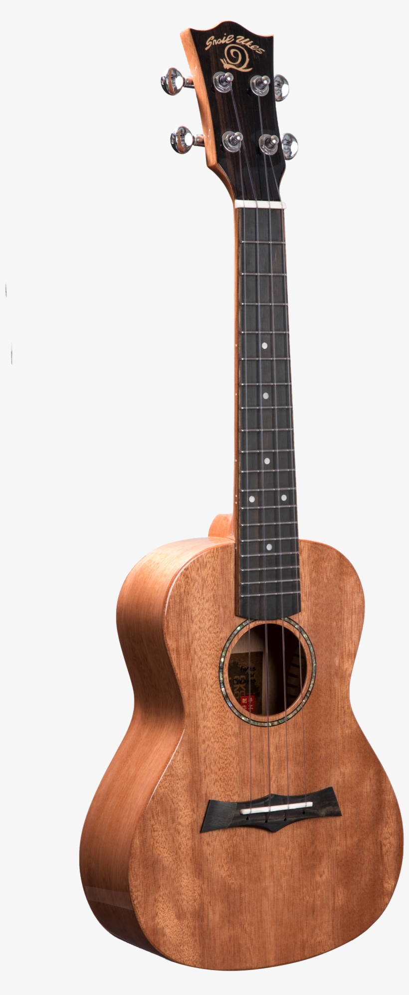 Snail Solid Mahogany Glossy Concert Ukulele - Free Transparent PNG ...