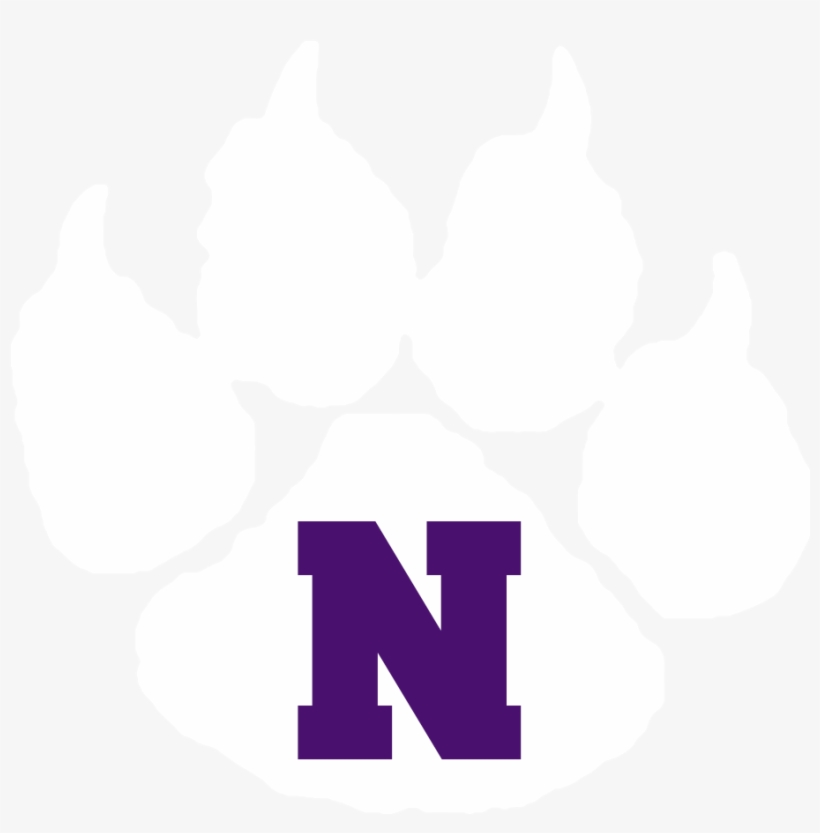 Cub Paw White - Illustration - Free Transparent PNG Download - PNGkey
