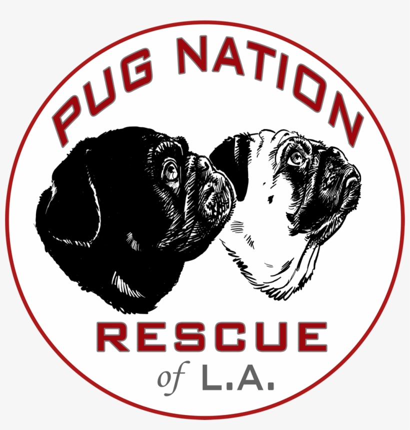 Pnla Logo Final - Pug - Free Transparent PNG Download - PNGkey