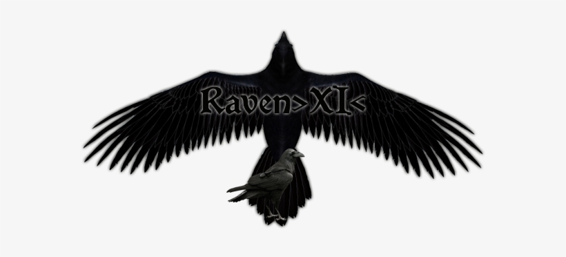 Raven - Transparent Background Raven Png - Free Transparent PNG ... Raven - Transparent Background Raven Png - Free Transparent PNG ...