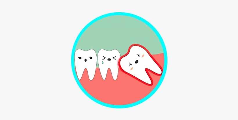 Wisdomteeth - Portable Network Graphics - Free Transparent PNG Download ...