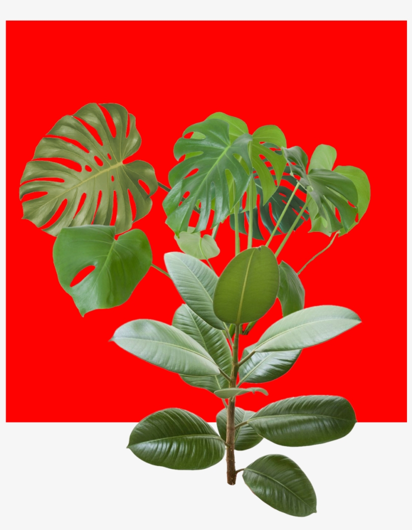 Blog - Free Transparent PNG Download - PNGkey