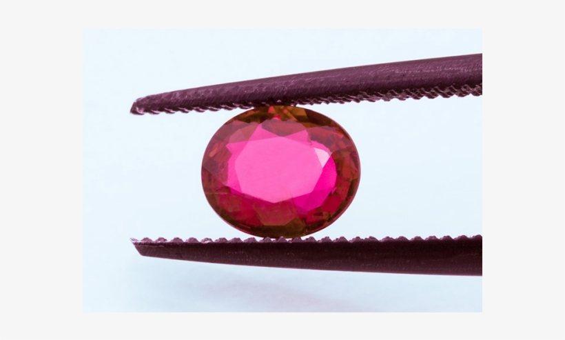 68ct Vivid Red Ruby Gia Certified, Gorgeous Clean Stone - Ruby - Free ...