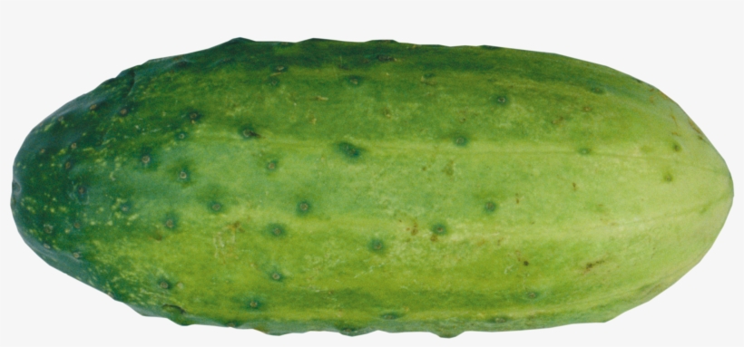 Cucumber Clipart Transparent Background - Огурец Пнг - Free Transparent ...