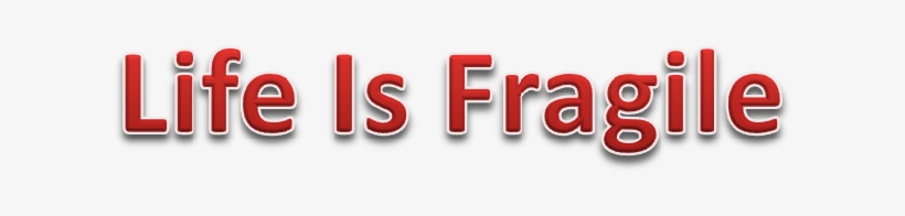 Life Is Fragile - Graphics - Free Transparent PNG Download - PNGkey