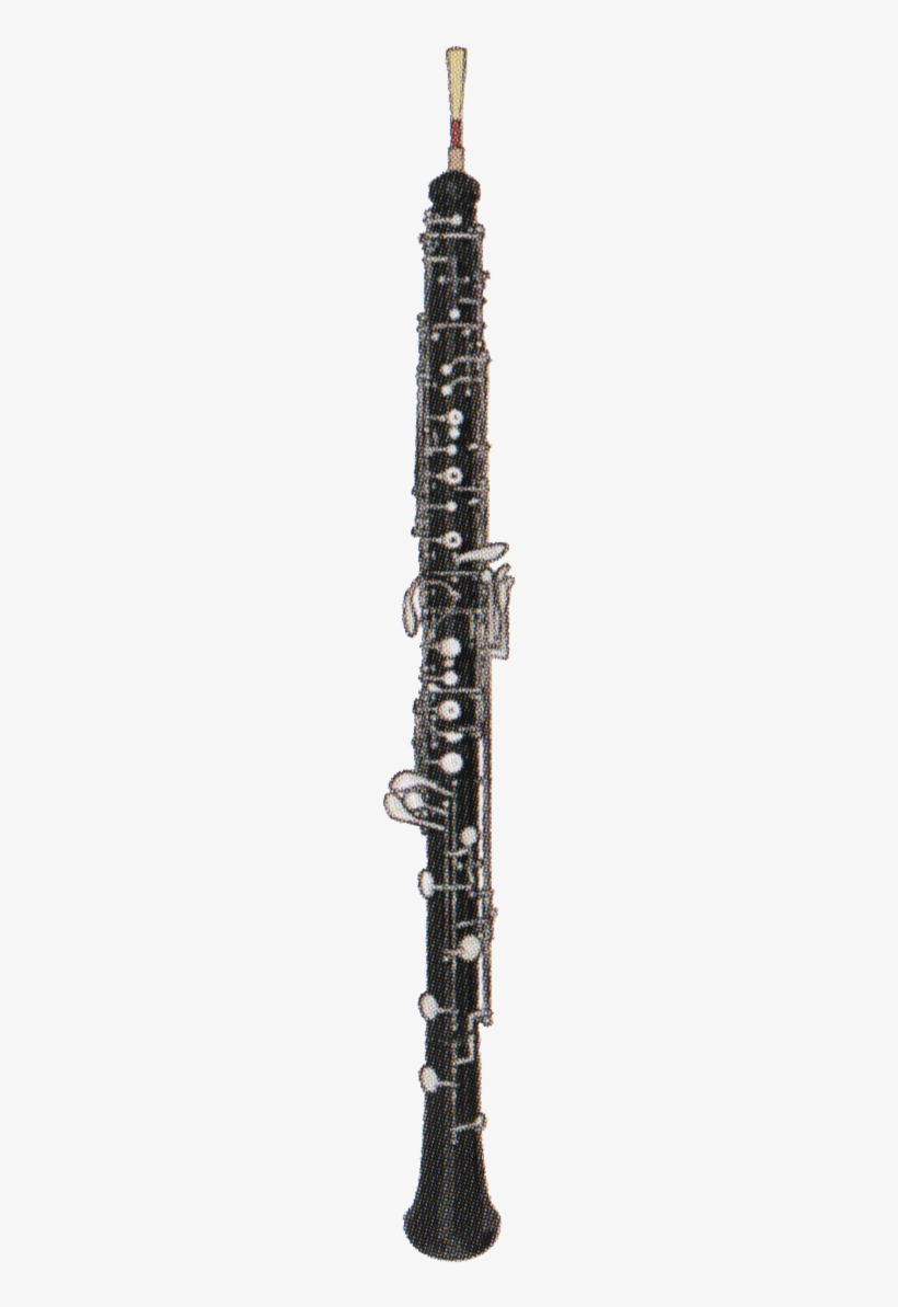 Oboe - Clarinet Family - Free Transparent PNG Download - PNGkey