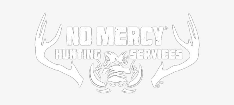 No Mercy Hunting - Wild Boar Cartoon - Free Transparent PNG Download ...