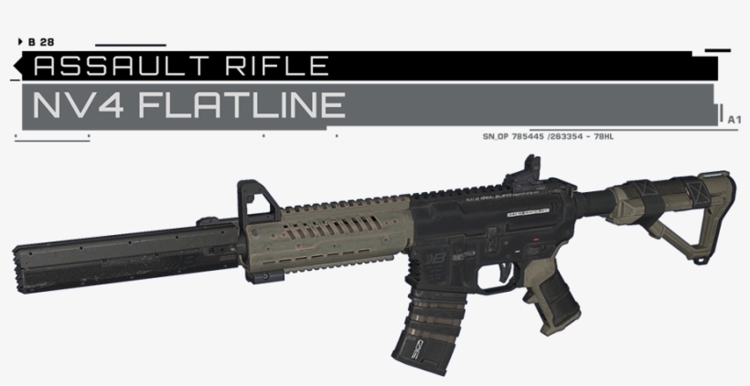 Replaces Assault Rifle With Nv4 Flatline From Call - Infinite Warfare ...