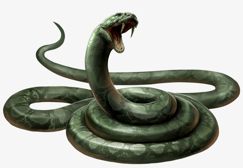 Snake Form - Snake Png - Free Transparent PNG Download - PNGkey