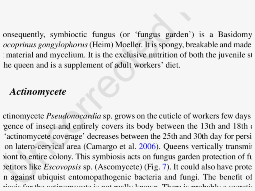 Gongylidium Shown By Black Arrows , Specific Spheroid - Gongylidia - Free Transparent PNG ...