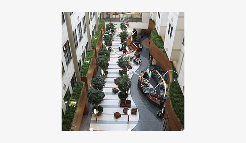 Iu North - Iu Health North Hospital - Free Transparent PNG Download ...