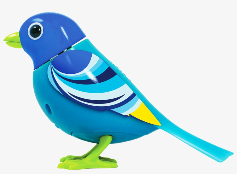 Bird-dizzy - Digi Birds Madár - Free Transparent PNG Download - PNGkey