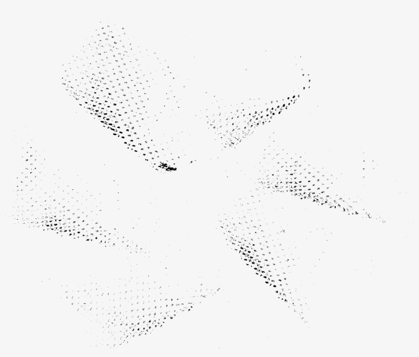 Png Texture Overlay - Bird Migration - Free Transparent PNG Download ...