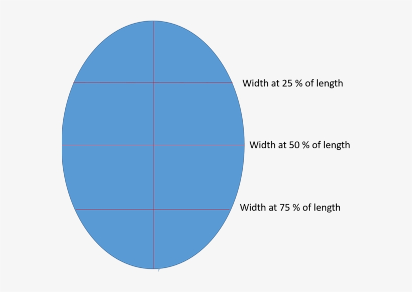 Picture1 - Circle - Free Transparent PNG Download - PNGkey