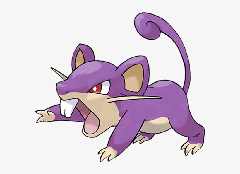 Pidgeot - Pokemon Rattata Png - Free Transparent PNG Download - PNGkey