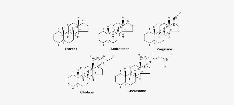 In This Section, We Have Classified Steroids Into Five - Diagram - Free ...