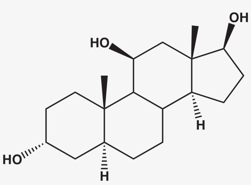 Steroids - Estrogen Chemical - Free Transparent PNG Download - PNGkey