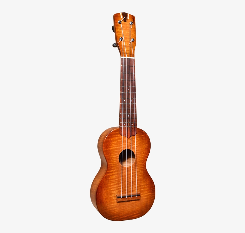 Mahogany Rose Sunburst - Ukulele - Free Transparent PNG Download - PNGkey