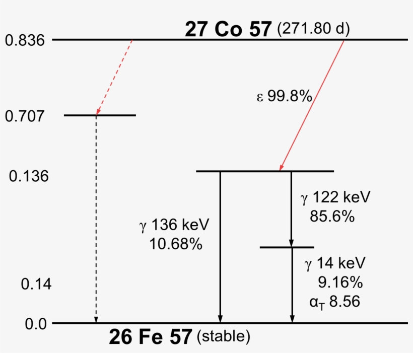 Co57 Ds - Diagram - Free Transparent PNG Download - PNGkey
