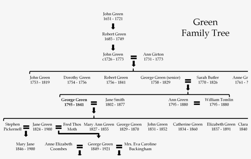 File - Greenfamilytree - Genealogy - Free Transparent PNG Download - PNGkey