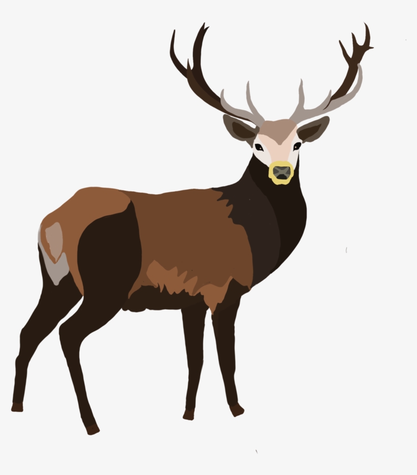 Stag - Free Transparent PNG Download - PNGkey