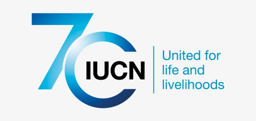 Celebrating 70 Years - Free Transparent PNG Download - PNGkey