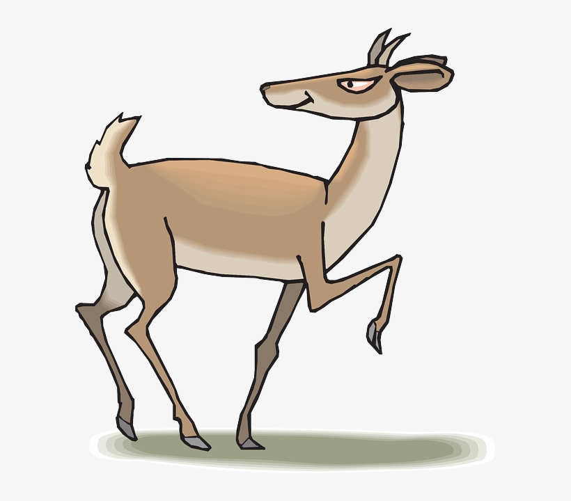 Antelope Cartoon - Free Transparent PNG Download - PNGkey