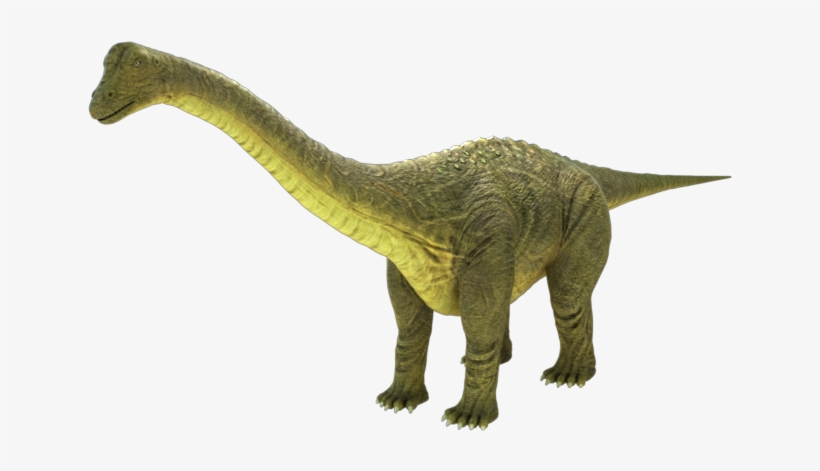 Brontosaurus Apatosaurus 3d Model - Brontosaurus Png - Free Transparent ...