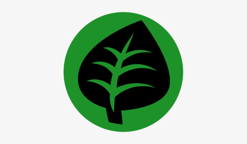 Pokemon Snivy - Free Transparent PNG Download - PNGkey