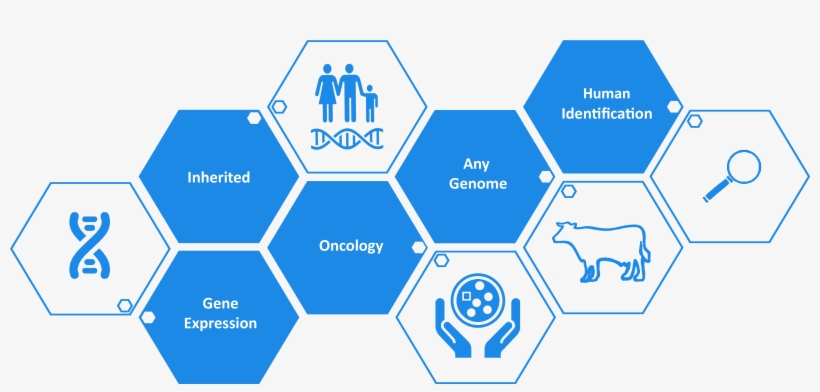 Genetic Designs - Free Transparent PNG Download - PNGkey