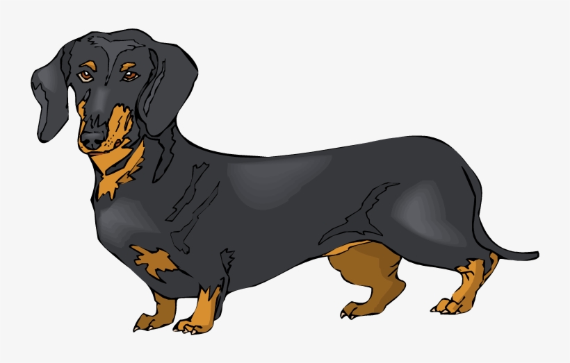 Clip Art Dachshund Dogs - Free Transparent PNG Download - PNGkey