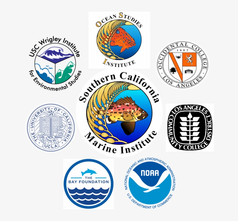 Scmi Is Located In The Heart Of The Port Of Los Angeles - Free ...