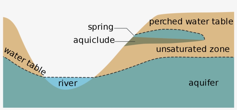 Nappe Perchée - Free Transparent PNG Download - PNGkey
