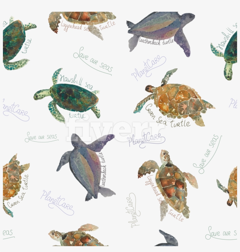 Hawksbill Sea Turtle - Free Transparent PNG Download - PNGkey