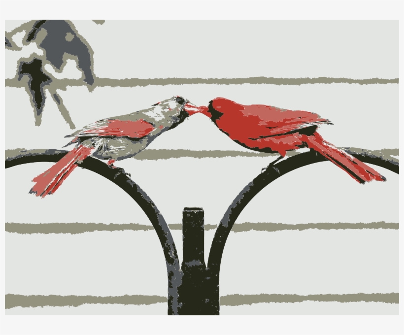 Northern Cardinal - Free Transparent PNG Download - PNGkey