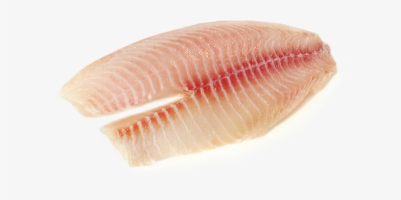 Tilapia - Seafood - Free Transparent PNG Download - PNGkey