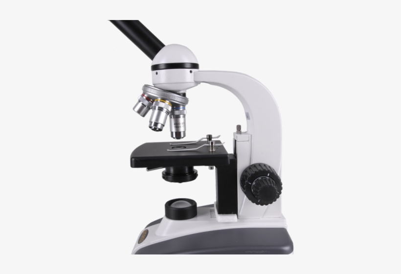 Microscope Png Transparent Images - Metropolis Pathology - Free ...