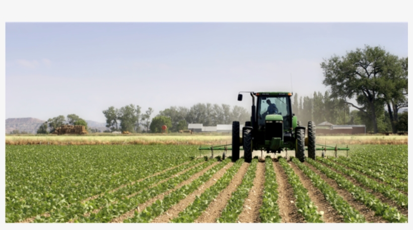 Crops Png - Free Transparent PNG Download - PNGkey