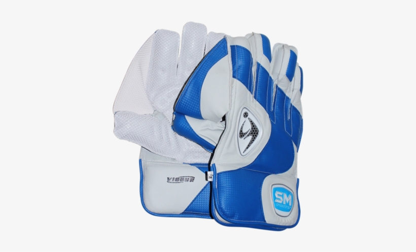 Cricket Wicket Keeping Gloves - Wicket Keeping Gloves Png - Free ...
