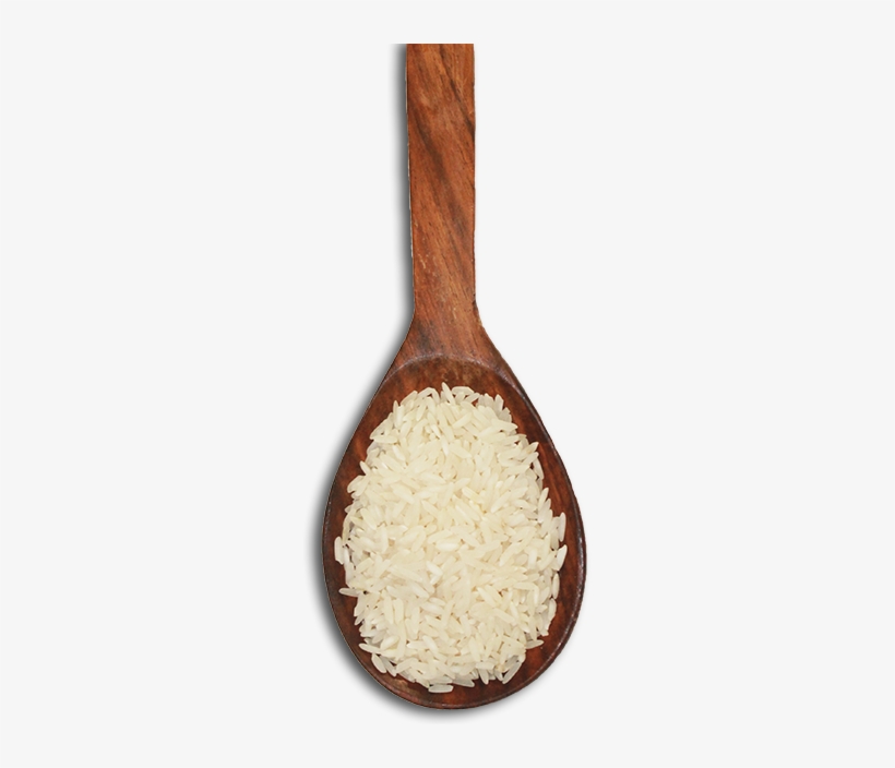 Rice - Free Transparent PNG Download - PNGkey