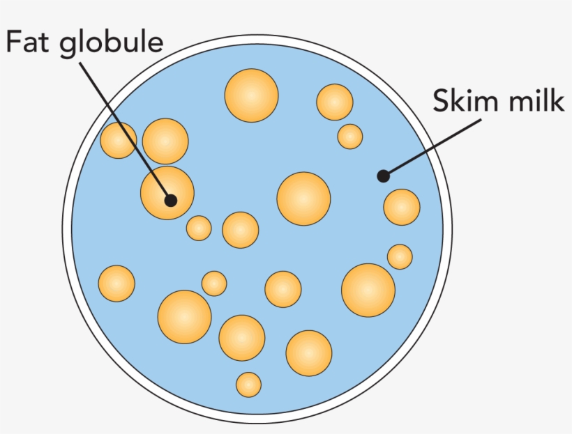 Zoom - Milk - Free Transparent PNG Download - PNGkey