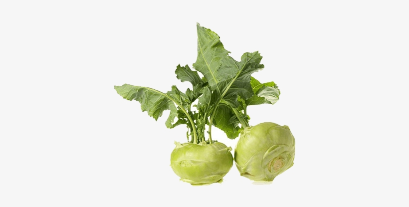 Nokol Vegetable In English - Free Transparent PNG Download - PNGkey